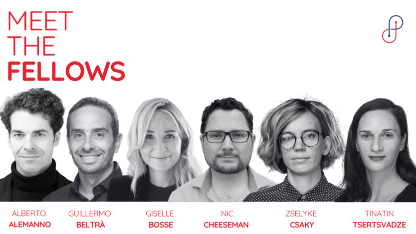 Meet the Fellows - European Democracy Hub